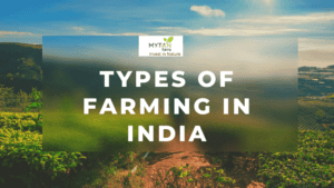 A Complete Guide to Types of Farming in India