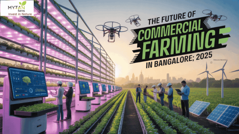 The Future of Commercial Farming in Bangalore: 2025 Trends